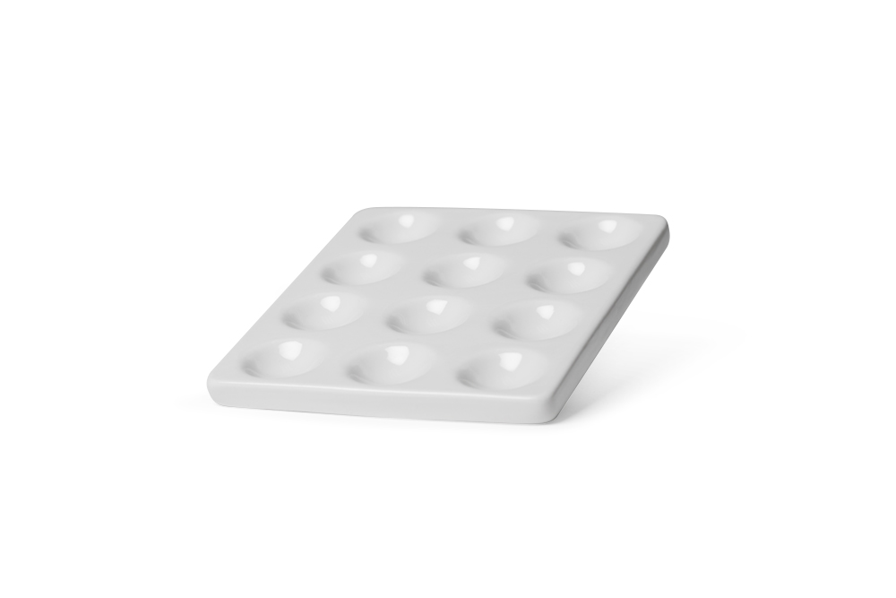 Product: REACTION PLATE 12 spot